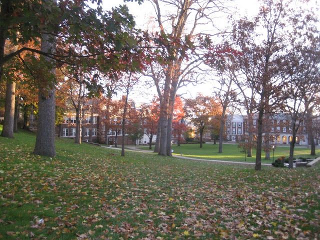 The Importance of Observation on College Visits: Applied Knowledge ...